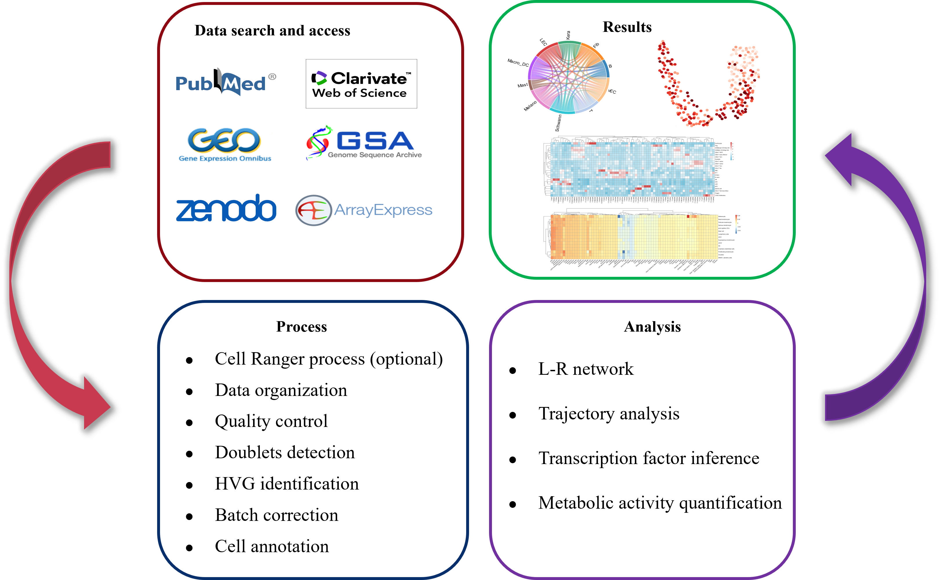 huSA: human Skin Atlas